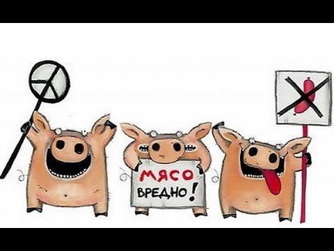 Человек в роботизированном мире.