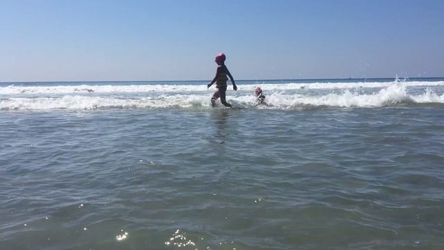 Дельфины ныряют