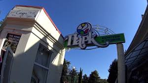 Парк отдыха в Лазаревском.. Лазаревское 2022 год.. Куда сходить в Лазаревском.. Сочи отдых на море..