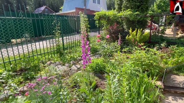 Путешествовать хорошо, но на даче лучше.