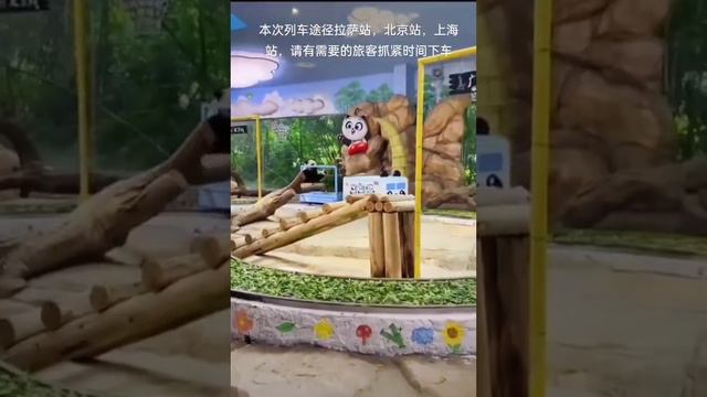 У каждого ребенка должна быть железная дорога!  лодка-дракон! И беседка🐼❤️ 
PS: Это три разные панд