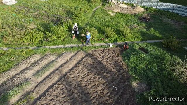 Картошка-23 .mp4