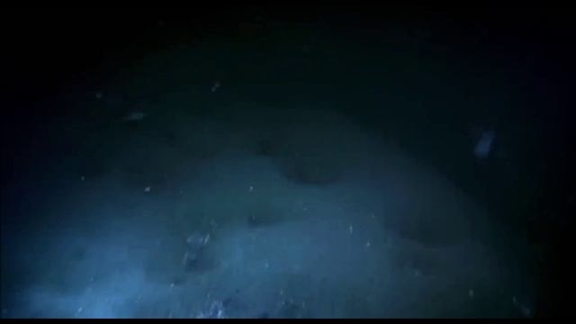 Человеку нужен человек Солярис