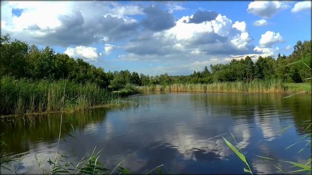 BANZAIR - Россия