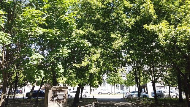 Проходные дворы Петербурга №4