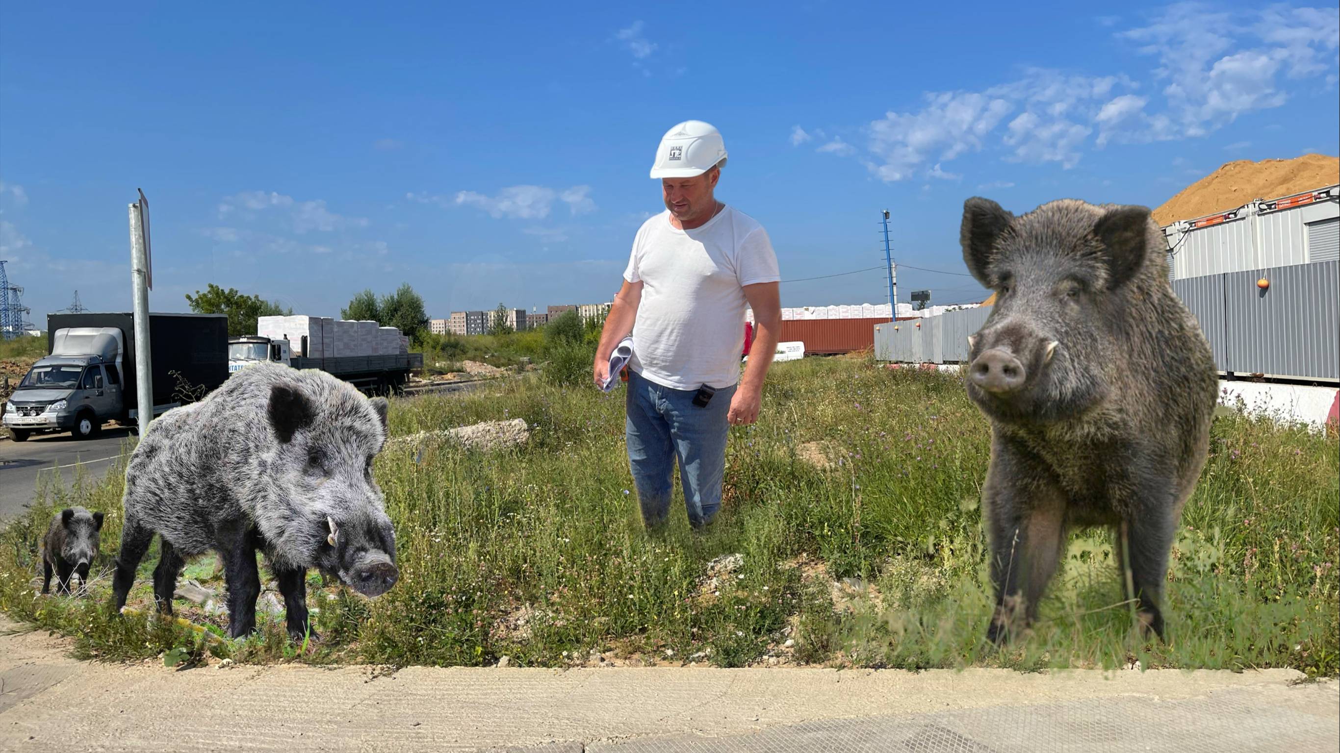 Рябина на камнях