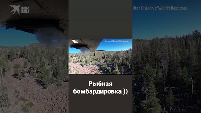 Доброе дело. Бомардировка мальком2
