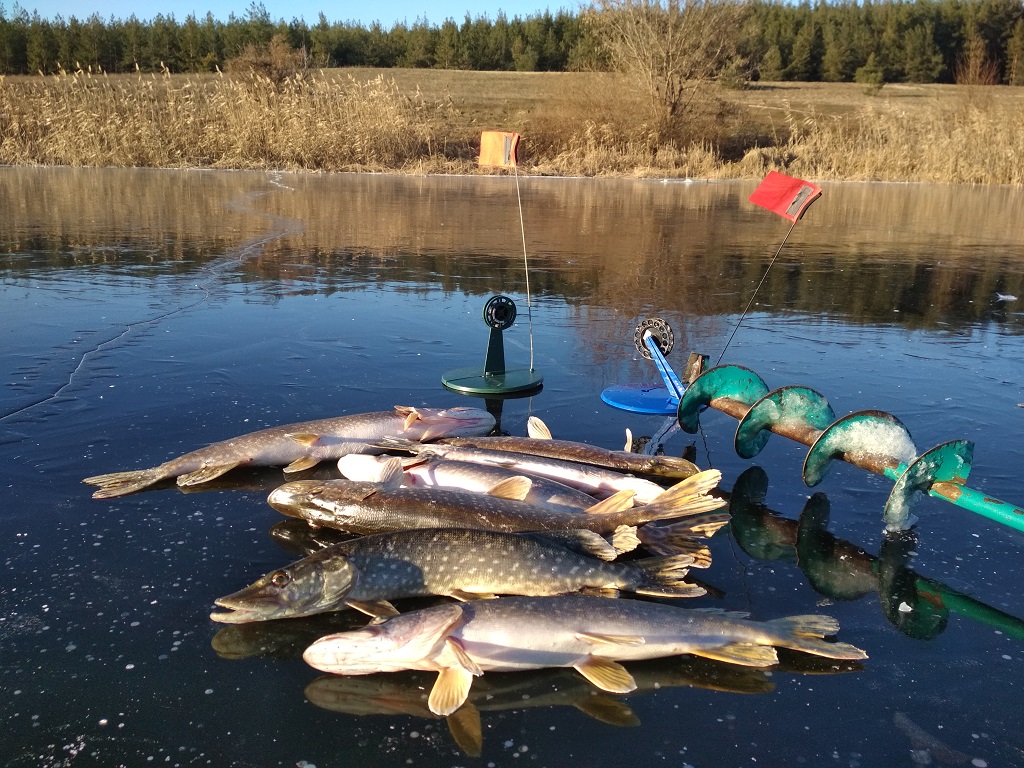 ПЕРВЫЙ ЛЁД 2022 ЩУКА на ЖЕРЛИЦЫ  открытие сезона зимней рыбалки