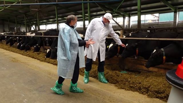 Роботизированная ферма в Скородумке