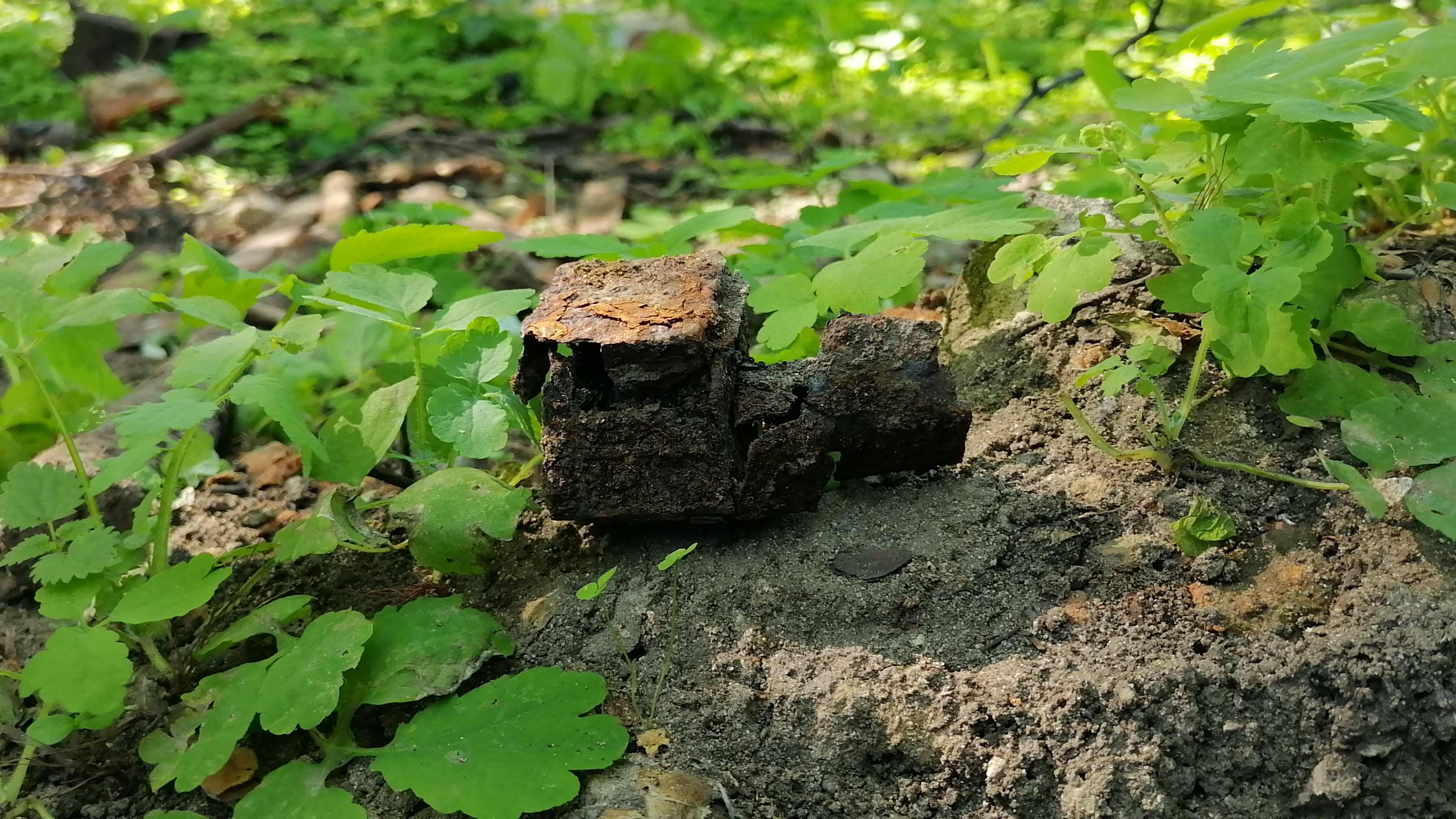 НАШЛИ КАБИНУ ОТ ПОЛУТОРКИ.