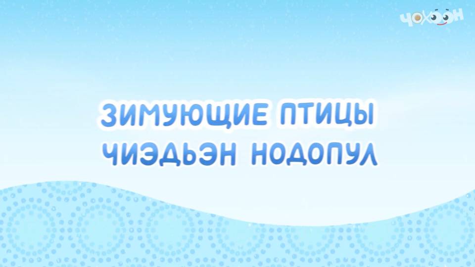 Чиэдьэн нодопул - Зимующие птицы