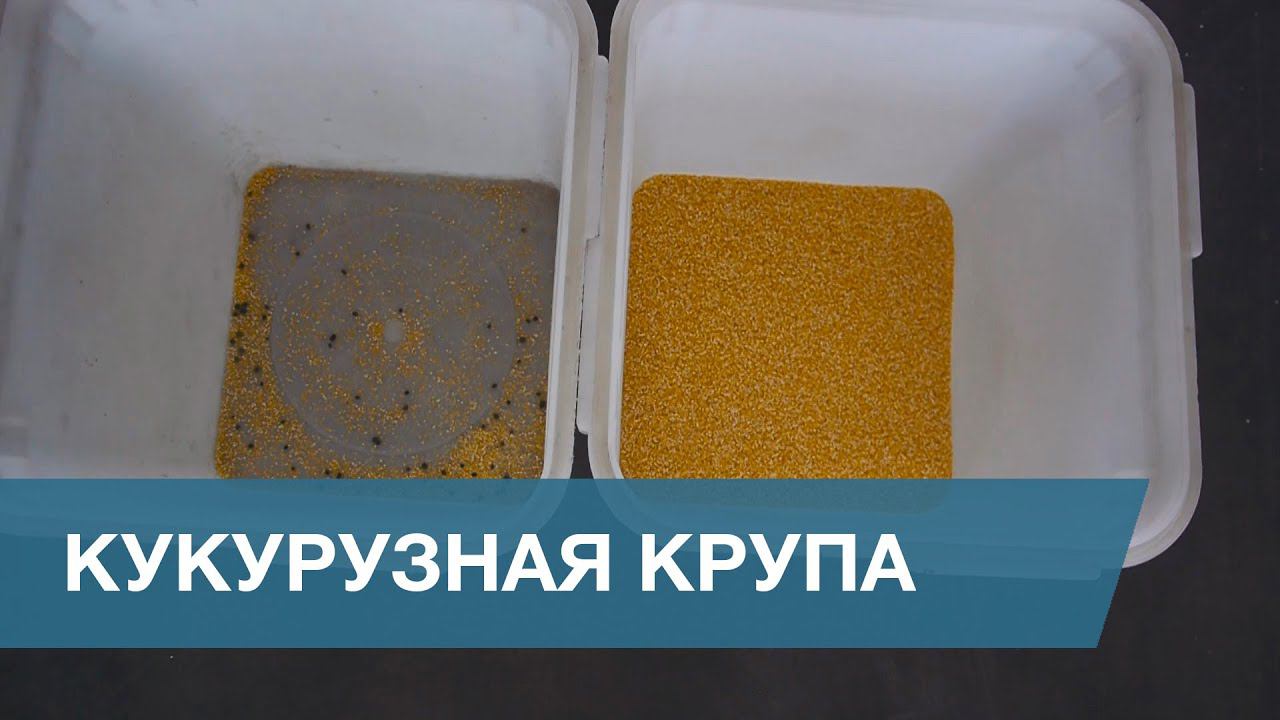 Сортировка кукурузной крупы
