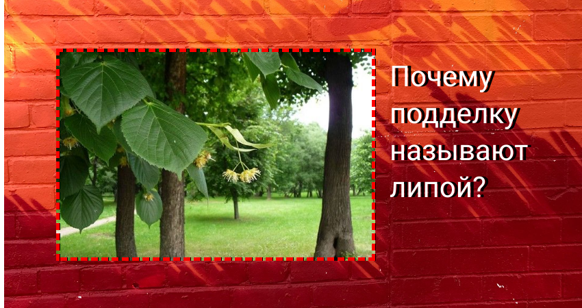 Почему подделку называют липой?
Почему подделку называют липой.mp4