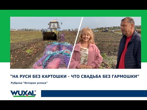 Выращивание картофеля в Краснодарском крае/Технология выращивания картофеля