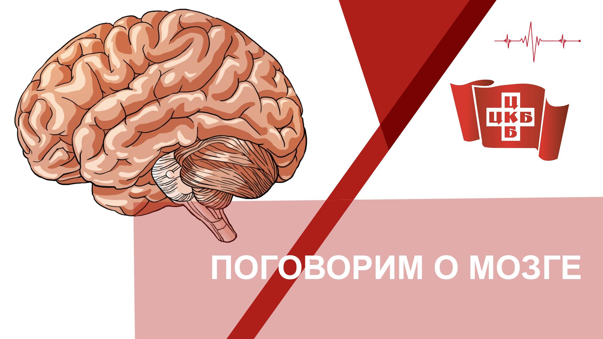 Поговорим о мозге