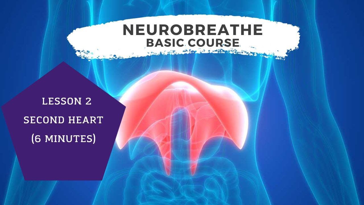 Neurobreathe technics. Basic course. Lesson 2. Second Heart