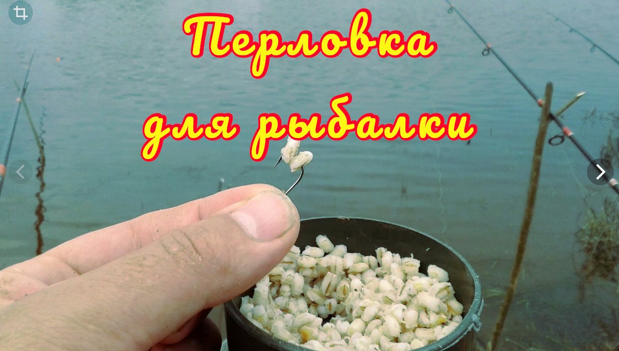 Перловка с чесноком для ловли крупной рыбы. Как приготовить перловку с чесноком.mp4