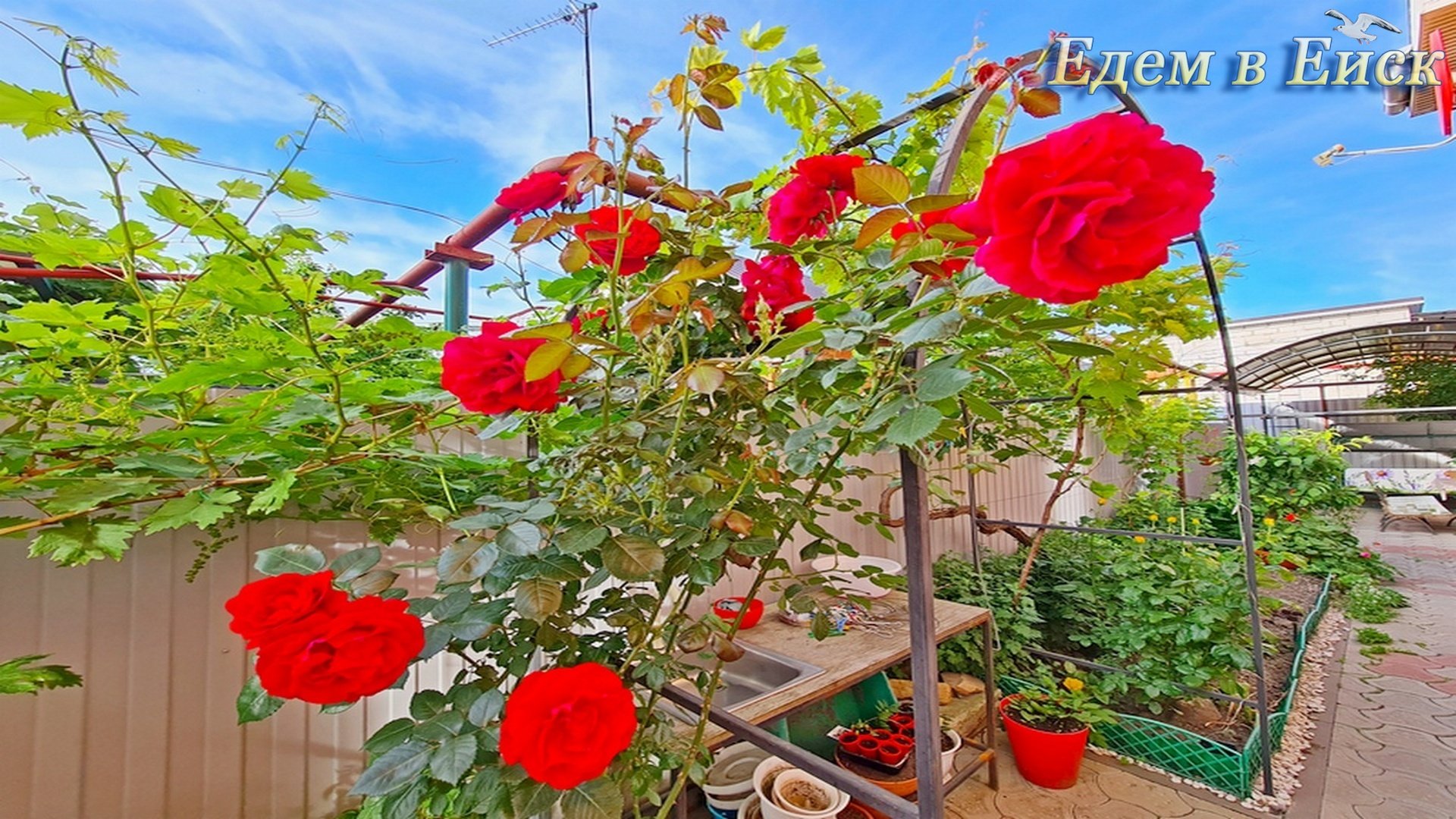 Отдых в Ейске: комфортабельный трехместный домик, пляж Каменка!