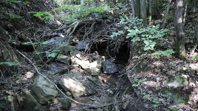 Счастливое сегодня