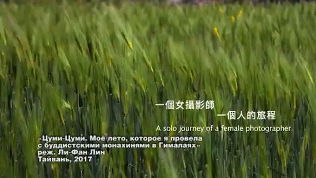 Один раз увидеть-2018. Специальные показы