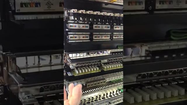 About NIKOMAX Demo Rack from Executive director of Tayle