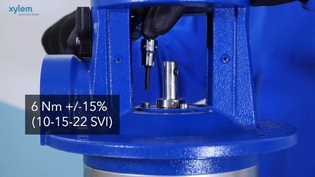 Lowara 10-15-22 e-SVI / Замена торцевого уплотнения