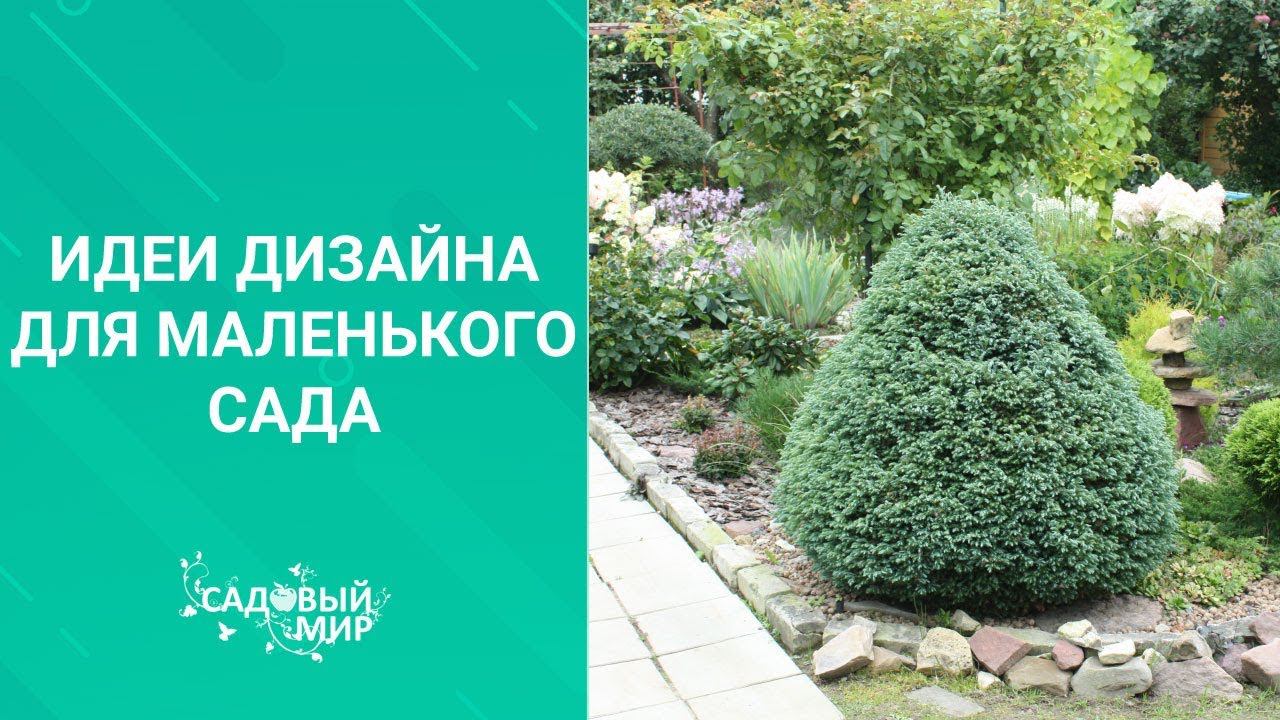 Идеи дизайна для маленького сада