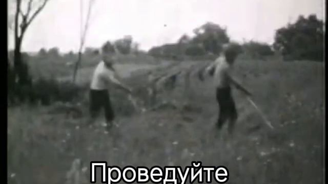 Дед Иван пожелания внукам