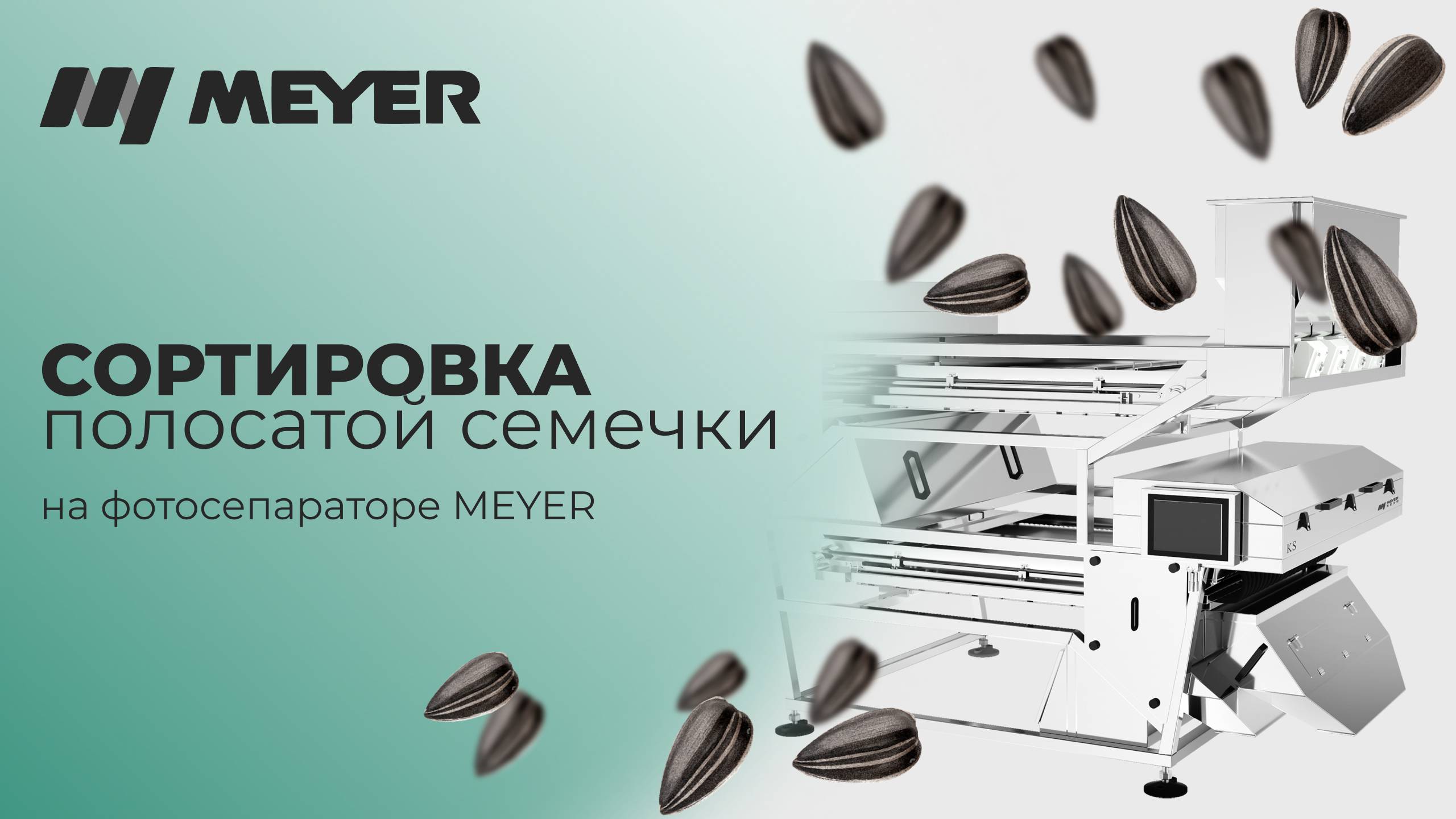 Сортировка подсолнечника: сортировка полосатой семечки на фотосепараторе MEYER