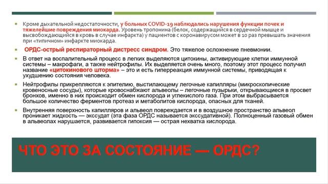 Защити от вирусов   коронавируса ослабленную бронхо-легочную систему.