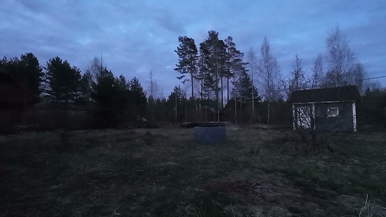 Birdsong in the early morning