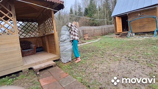 обзор парника, чеснока, лука и распаковка туи