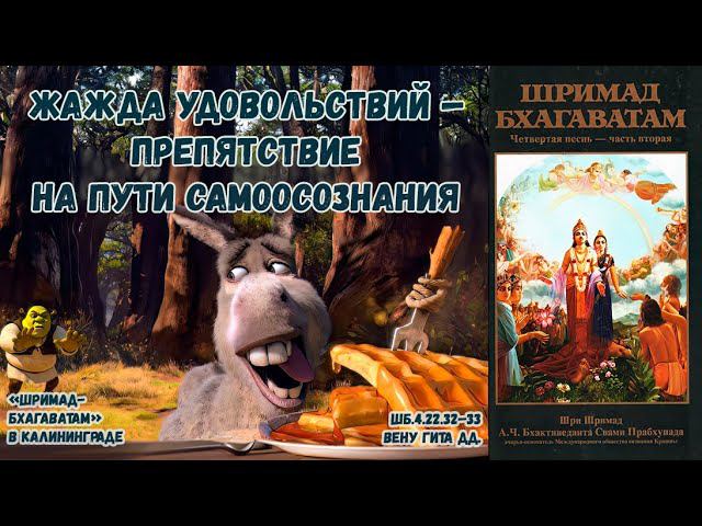 Жажда удовольствий — препятствие на пути самоосознания. Вену Гита дд. Б.4.22.32–33