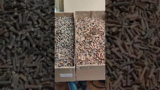 Чем отличается корень от стебля сабельника болотного