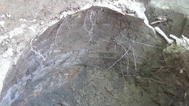 Хлебный тандыр на Петровском бульваре.mp4