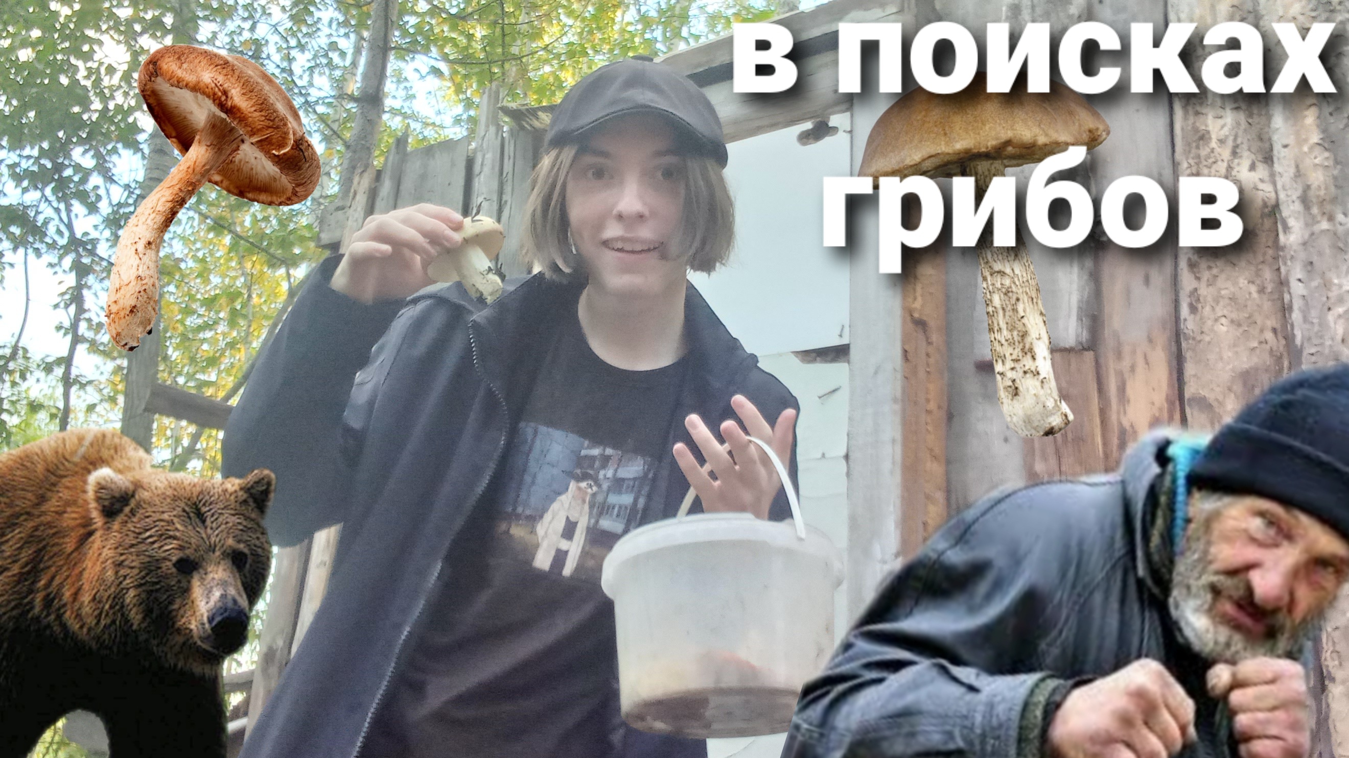 в поисках грибов