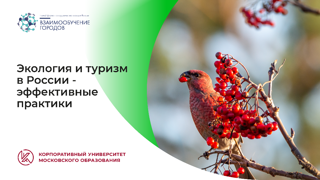 Экология и туризм в России - эффективные практики