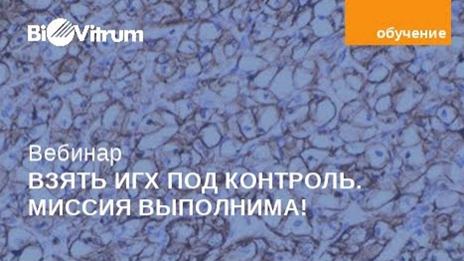 "Взять ИГХ под контроль. Миссия выполнима!"