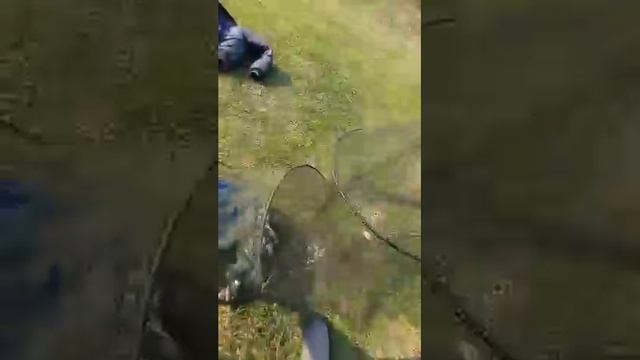 улов с прошлой рыбалки :)