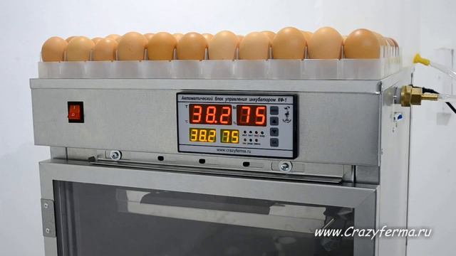 Инкубатор выводной АИ-192 от CrazyFerma