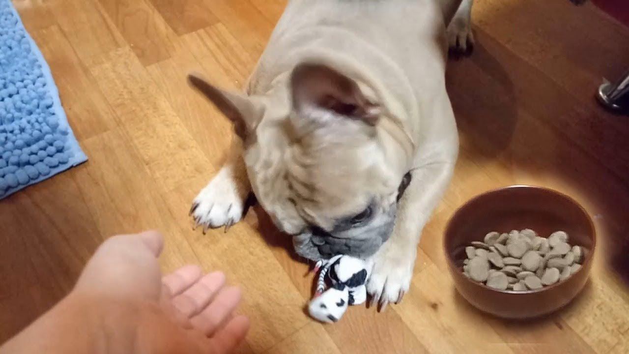 Жорик, давай поедим. - Нет, лучше поиграем!