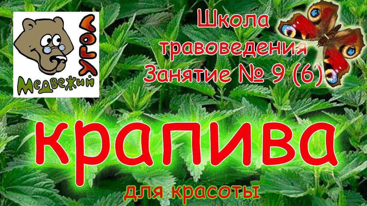 Школа травоведения. Занятие №9 (6) КРАПИВА для красоты