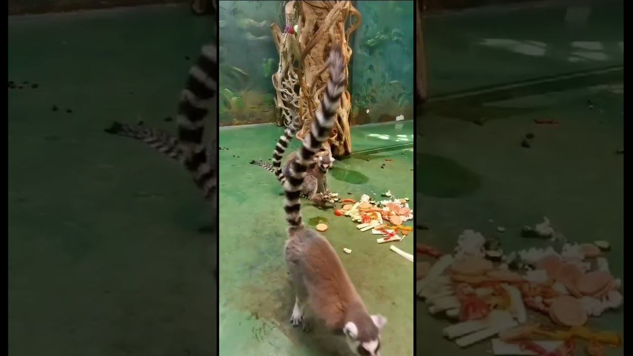 Делай как я. Будешь таким как папа.  #веснапришла #стихи #весна2024