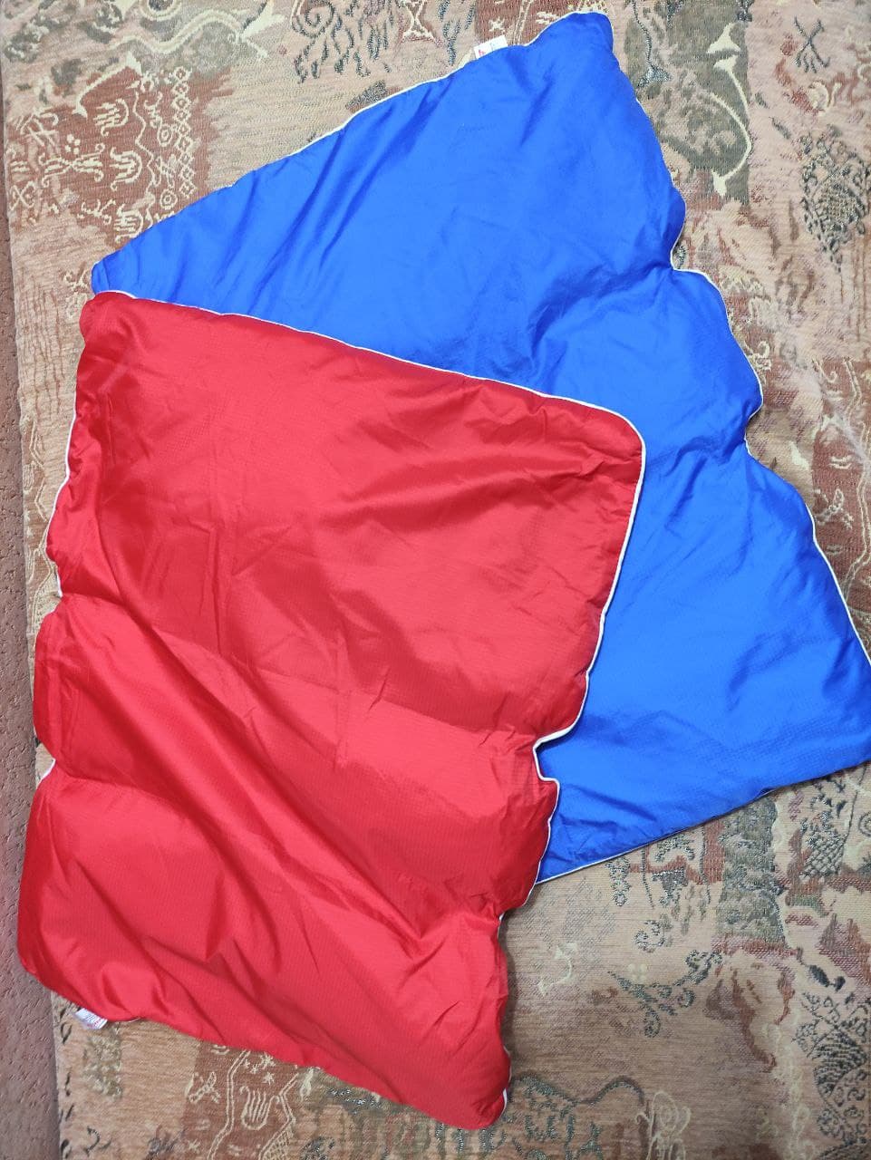 Асония раскладная.