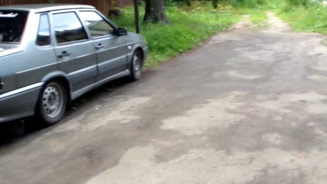 Воспитание щенка и обучение взаимодействию