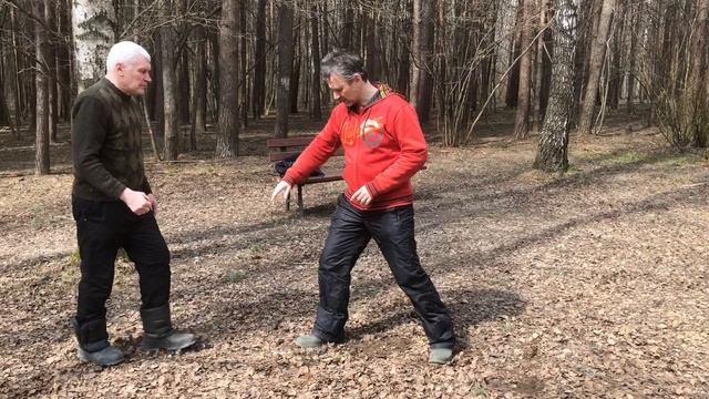 Тайцзицюань "Обвод колена". Различия в стилях Ян и У