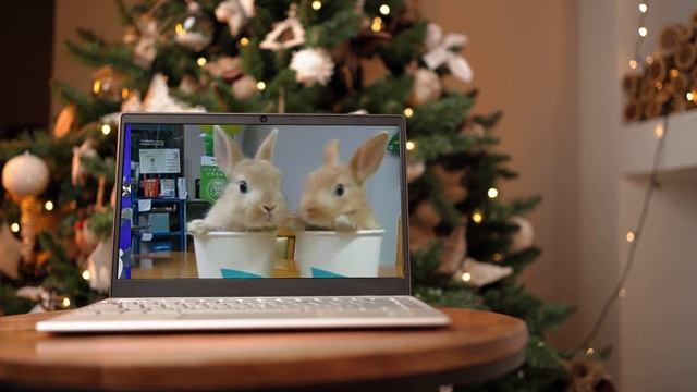 ГОД КРОЛИКА! Новогодняя музыкальная видео открытка.