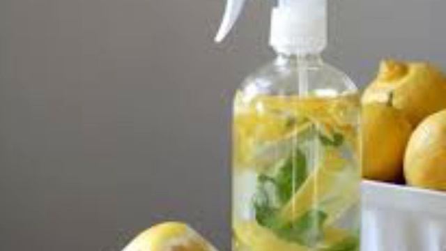 Лимон. Раскладываем по углам дома цедру лимона. Эффект потрясающий.