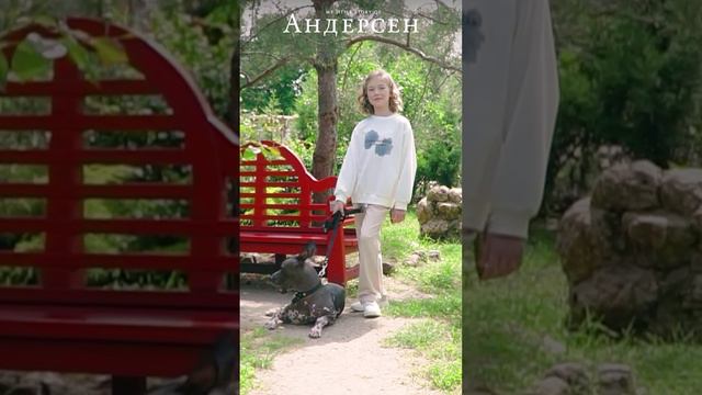 1243106св01 и 1243108бр03