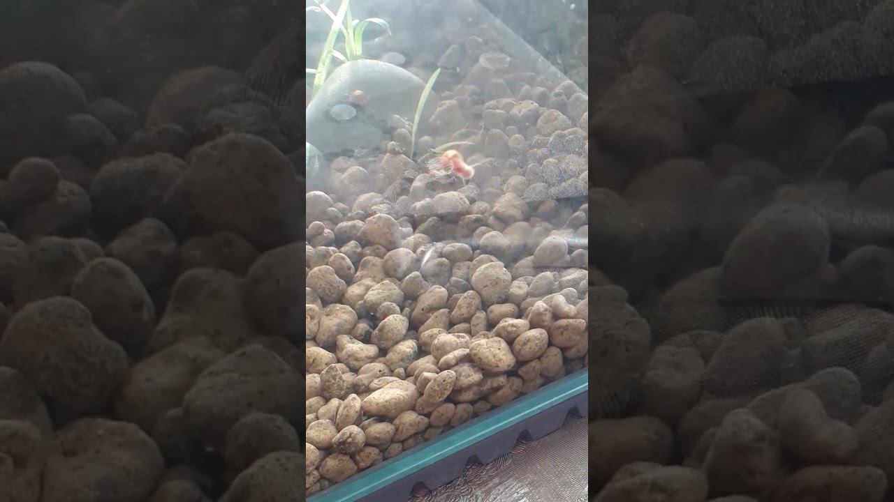 Домашний релакс